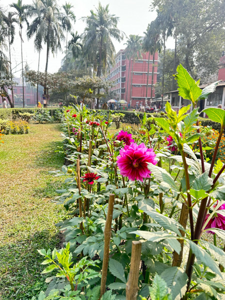 Home :: Dhaka University Halls