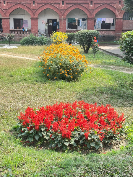 Home :: Dhaka University Halls
